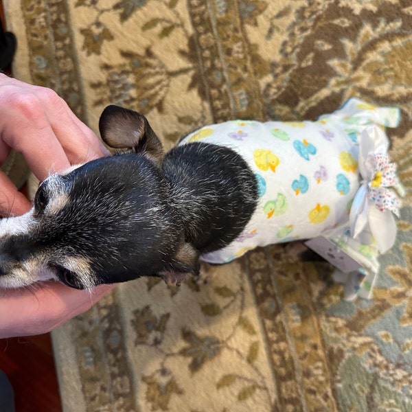 Vintage Inspired Wednesday Pet Dress: Halloween Costume With Spider ...
