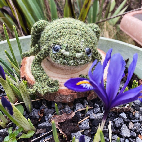 Realistic Crochet Tree Frog Pattern (digital Download) - Etsy