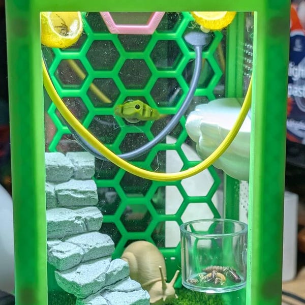 Jumping Spider Feeder/hide-spider Accessories-multi Use-choose Your ...