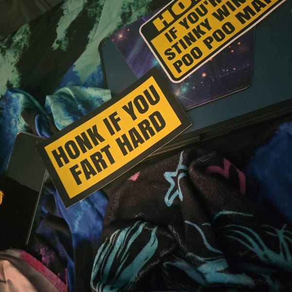 Use Your Blinker Bestie Bumper Funny Car Bumper Caution Stickers ...