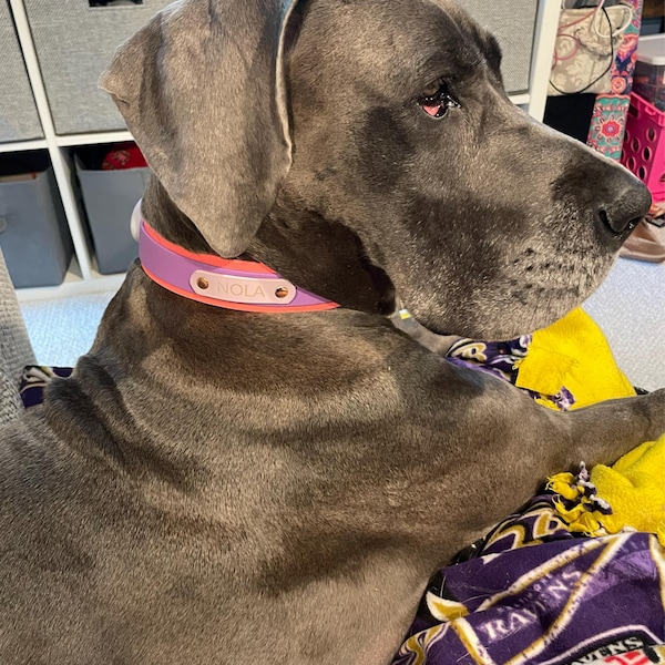 Braided Biothane Paracord Collar | Mothersday Gift| Durable Handmade ...