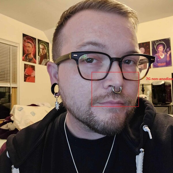 HALF GOLD / SILVER 4G, 5G, 6G, 7G, 8G, 10G, or 12G Anodized Astm F136 ...