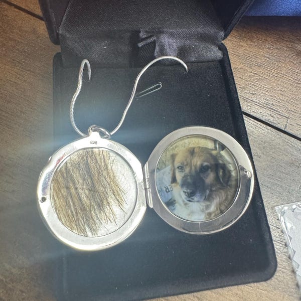 Dog Locket With Fur and Photo Option, Locket for Men or Women - Etsy