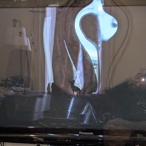 TV Screen Protector for Philips Tvs, Special Dimensions for All Models ...