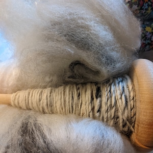 Wooly Buns Roving Fiber Sampler Gold Wool Roving Assortment | Etsy