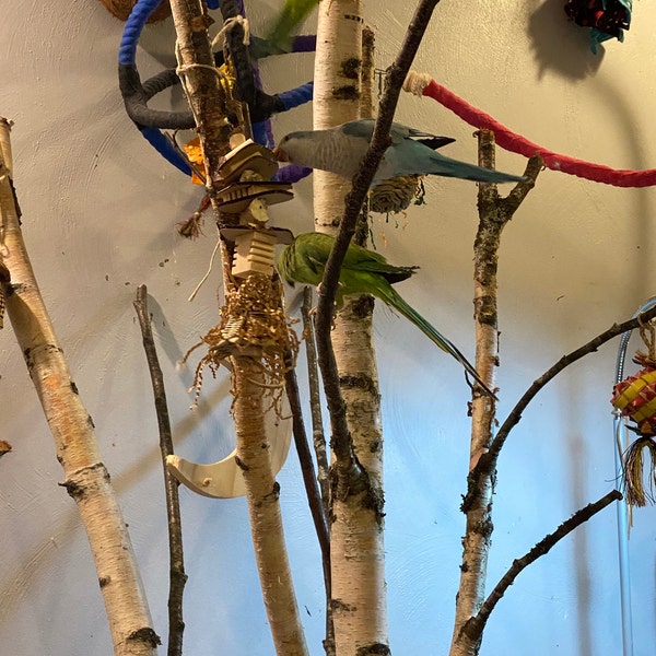 Parakeet Small Bird Tree Base Only - Etsy