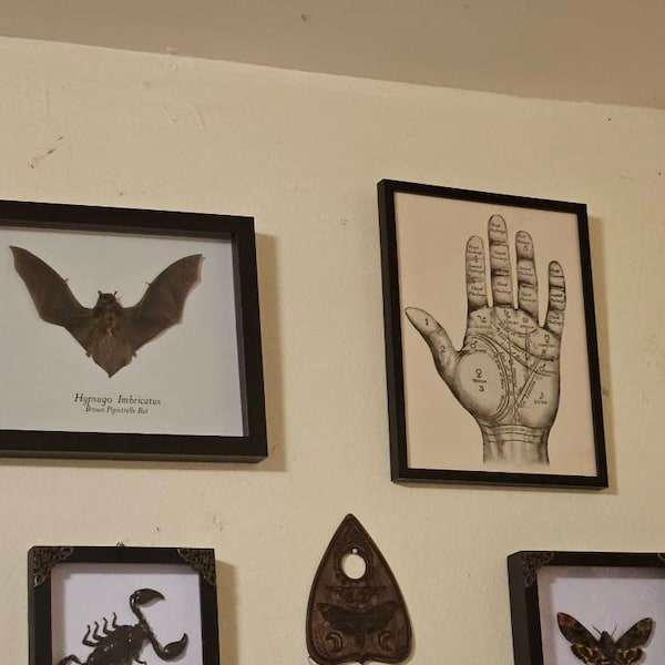 PALMISTRY PRINT Palmistry Art Poster Chiromancy Art Print Palm Reading ...