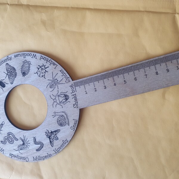 Portable Insect Bug Box Collection Box Parent-child Outdoor Forest ...