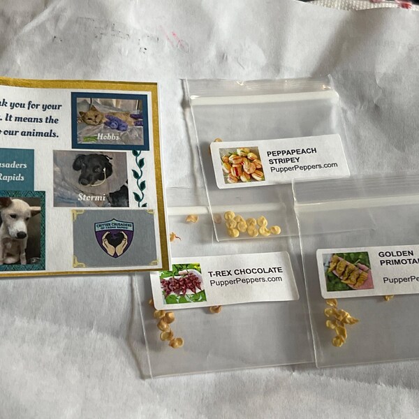 Purple Peach Carolina Reaper Rare Pepper Seeds Premium Packet - Etsy