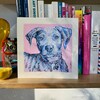 Sun Cat Still Life Art Print Oil Pastel Drawing Modern Pop Art Cat ...