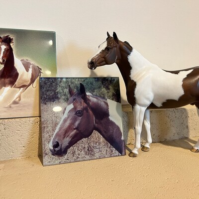 Custom Breyer Made to Order - Etsy