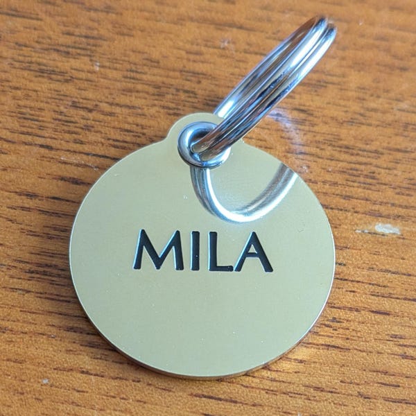 REINFORCED Deeply Engraved Solid Brass Dog Tag, 27mm Round - Etsy