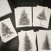 Pine Tree Note Card Set of 10 in White or Light Ivory With Matching ...