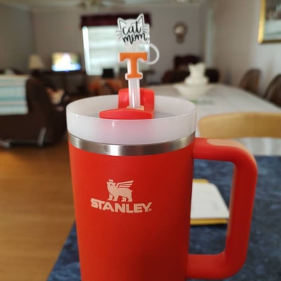 3D Dragon Croc Charm, Dragon Jibbits, 3D Croc Charms, Crocodile Croc ...