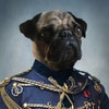 Custom Military Pet Portrait . Custom Renaissance Pet Portrait . Custom ...