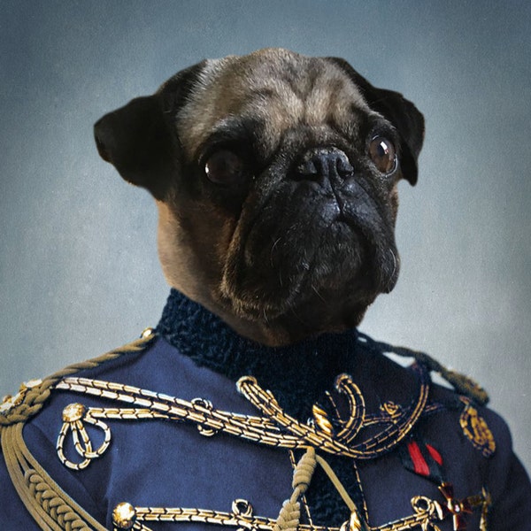 Custom Military Pet Portrait . Custom Renaissance Pet Portrait . Custom ...