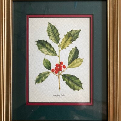 Christmas Holiday Botanical Prints Set of 4 Holly, Mistletoe ...