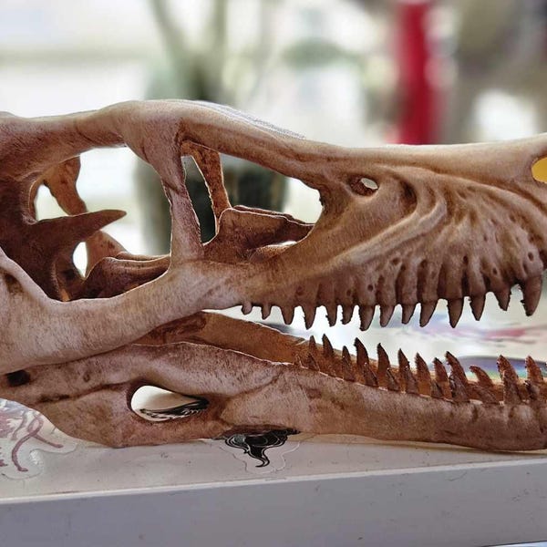 Velociraptor Replica Skull 3D Printed - Etsy