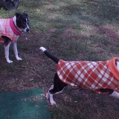 Dog Fleece Polo PDF Sewing Pattern Sizes XXS to 3XL 8 Sizes - Etsy
