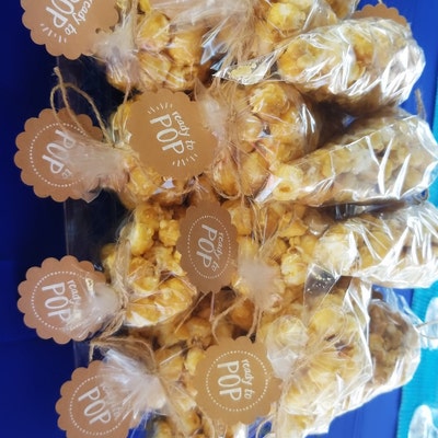 Set of 10 Handmade Ready to Pop Gift Tags-popcorn Tag-cake Pop Tag-mini ...