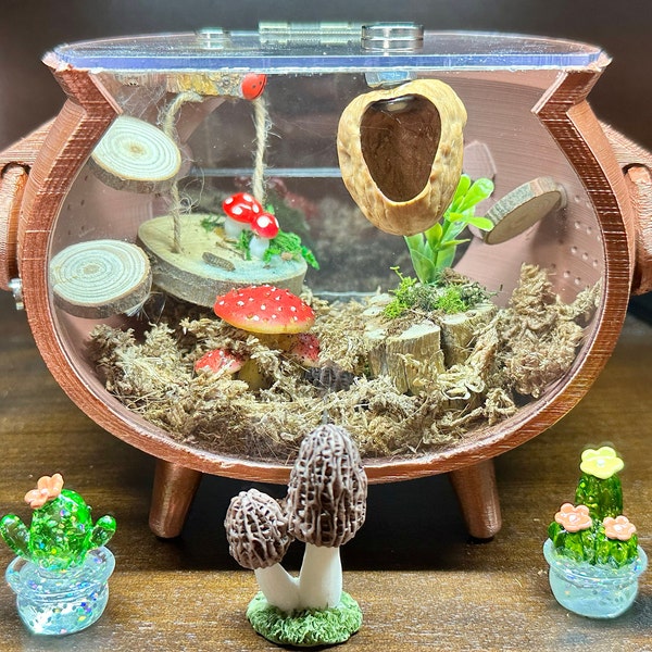 Jumping Spider Enclosure. Small Cauldron Acrylic Glass Enclosure for ...