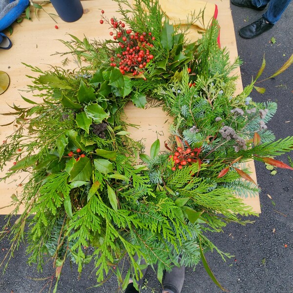 Dried Pepper Grass, Lepidium, Dried Grass, Grass Bunch, Green Grains ...