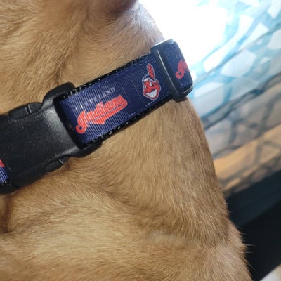 Police Dog Collar Thin Blue Line Police Lives Matter Dog - Etsy
