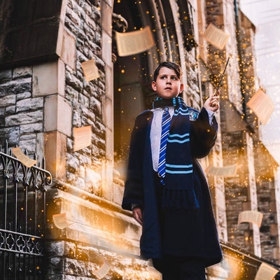 Horse Animal Magic PNG Overlay TRANSPARENT BACKGROUND - Etsy