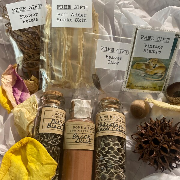 Real Moose Pellet in Glass Vial, Moose Poop, Animal Dung, Weird Gift ...