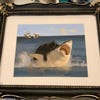 Fat Cat Eats Cheetos and Experiences Existential Dread | Meme Art Re ...