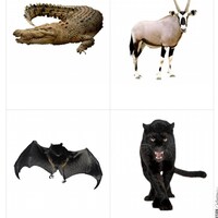 SUN SALUTATION POSTER yoga Poses Part 2 Montessori Poster Montessori ...