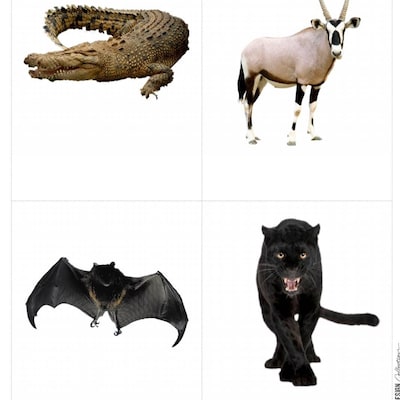 BUNDLE ACTION VERBS 62 Editable Montessori Cards Flash Cards ...