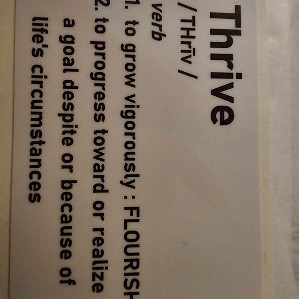 Custom Definition T-shirt, Definition Shirt, Statement Tee ...