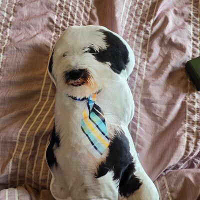 Photo Customization DIY Dog Cushion Pet Plush Toys Dolls Stuffed Animal ...