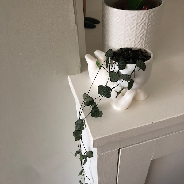 Fat Figure Planter | Planter | Desk Planter | Planter Pot | Gift ...