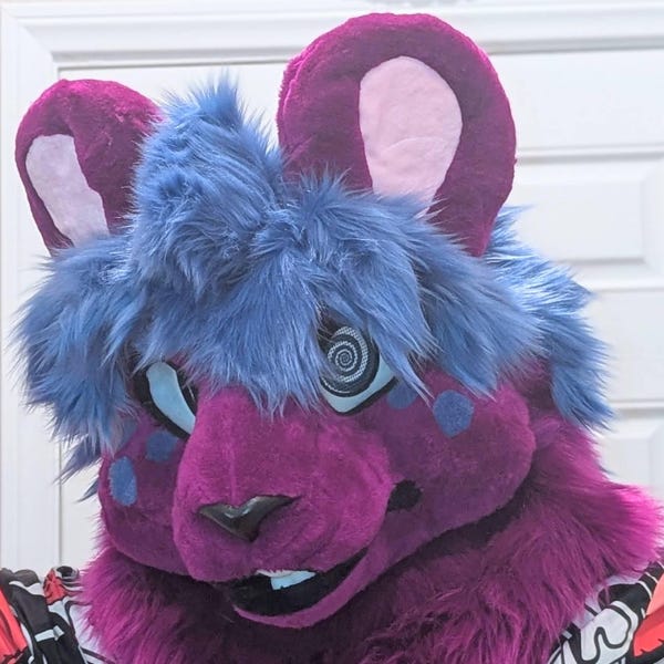 Fursuit Eye Mesh - Hypno Swirl Mascot Costume Eyes - Etsy