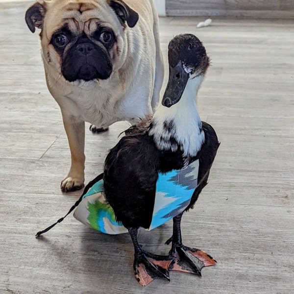 High Quality ORIGINAL - Duck Chicken Goose Diaper Harness - Adjustable ...