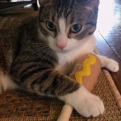Corn Dog Cat Toy - Etsy