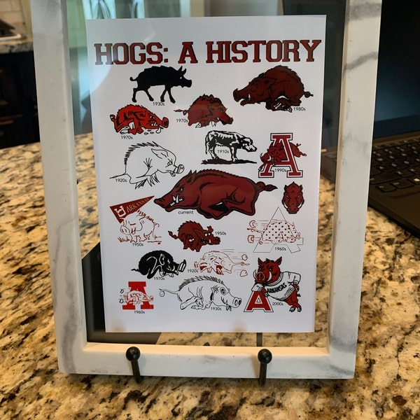 Literary Inspirational Quotes Sage Green High School Classroom Decor ...