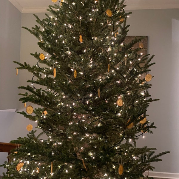 Annotation Bookmark Kit Annotation Kit Book Annotating Book Annotation ...