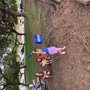 Pua Pig Piñata / Moana Themed Piñata / Moana Birthday - Etsy