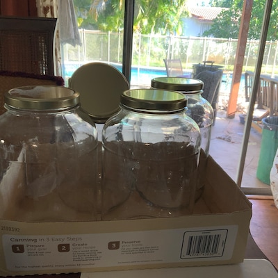 6 REPLACEMENT PICKLE Jar Lids Various Sizes to CHOOSE From - Etsy