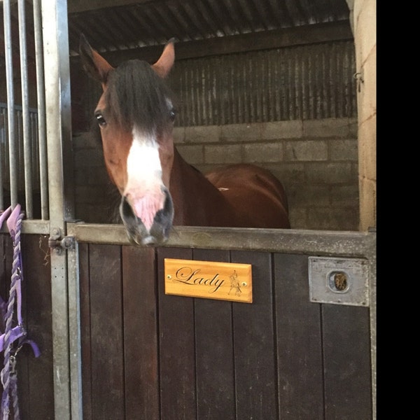 Horse Name Plate Stable Door Sign Plaque (edwardian Font & Dressage ...
