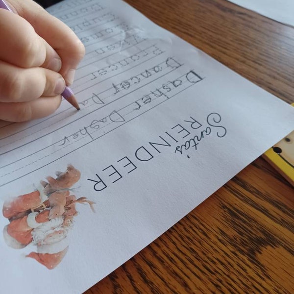 Human Body Systems, Print Copywork, Human Body Facts, Print Handwriting ...