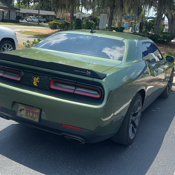Angry Hornet Taillight Divider Blackout Decal Kit Fits Dodge Challenger ...