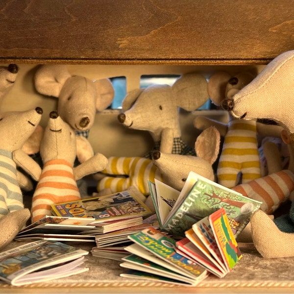 Miniature Dork Diaries Book Series for 1/6 & 1/8 Scale Dolls Like ...