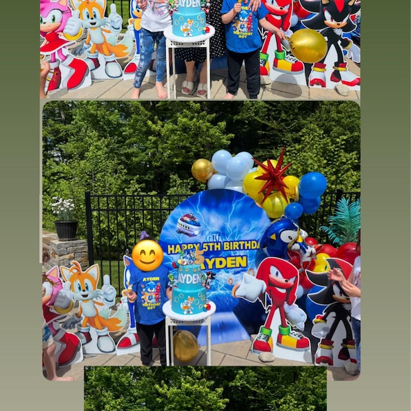Sonic Props, Sonic Backdrop, Party Props, Shadow Cutout, Knuckles ...