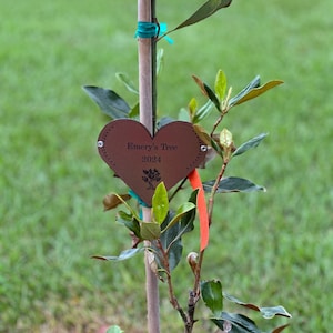 Original Tree Tag Hugger Engraved Tree Safe Memorial Plaque official ...