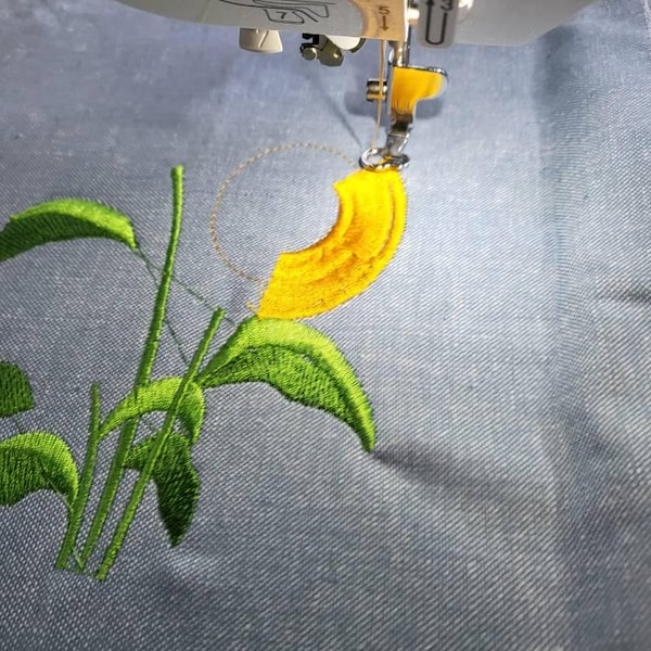 Connected Fringed FONT Alphabet Letters Machine Embroidery Designs in ...