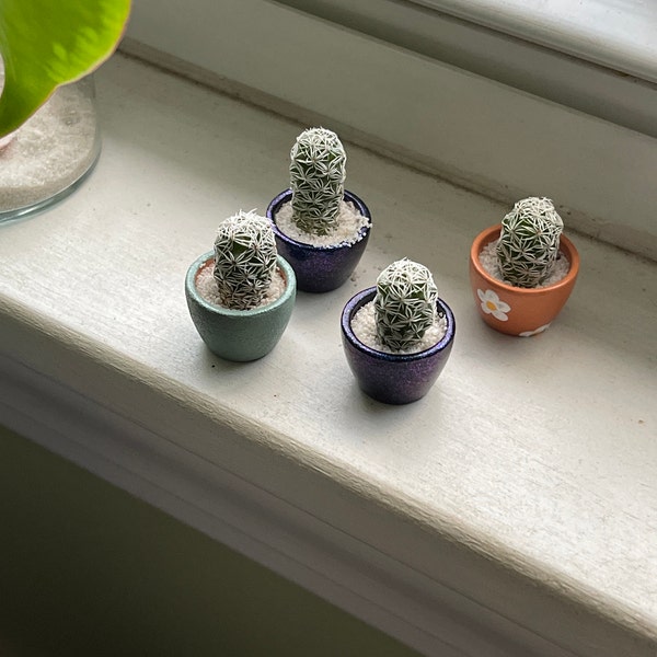 LITTLE PRICKS Miniature Cactus (light Brown) - DIY Cactus Kits, Hand ...